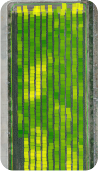 XAG P40 Agricultural Drone